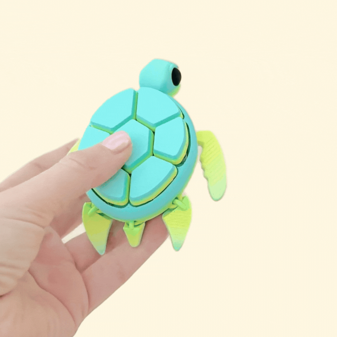 Turtle fidget clicker – Flexi Fidgets Co.